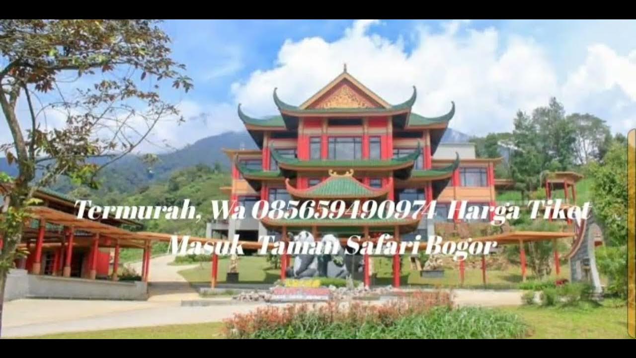 Termurah,Wa 085659490974 Harga Tiket Masuk Taman Safari Bogor - YouTube