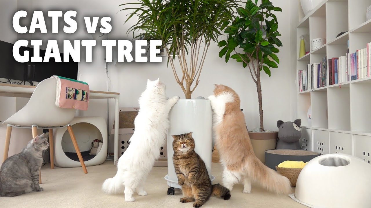 Cats vs Giant Tree Monster! | Kittisaurus - YouTube