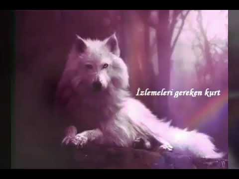 ERGENEKON DESTANI sesli anlatım