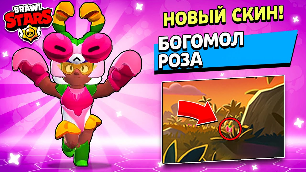 слив розы из Brawl Stars Telegraph