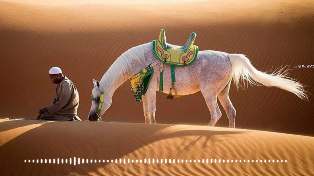 O Allah O Almighty Allahu Allah Protect Me And Guide Me Whatsapp o-allah-o-almighty-allahu-allah-protect-me-and-guide-me-whatsapp