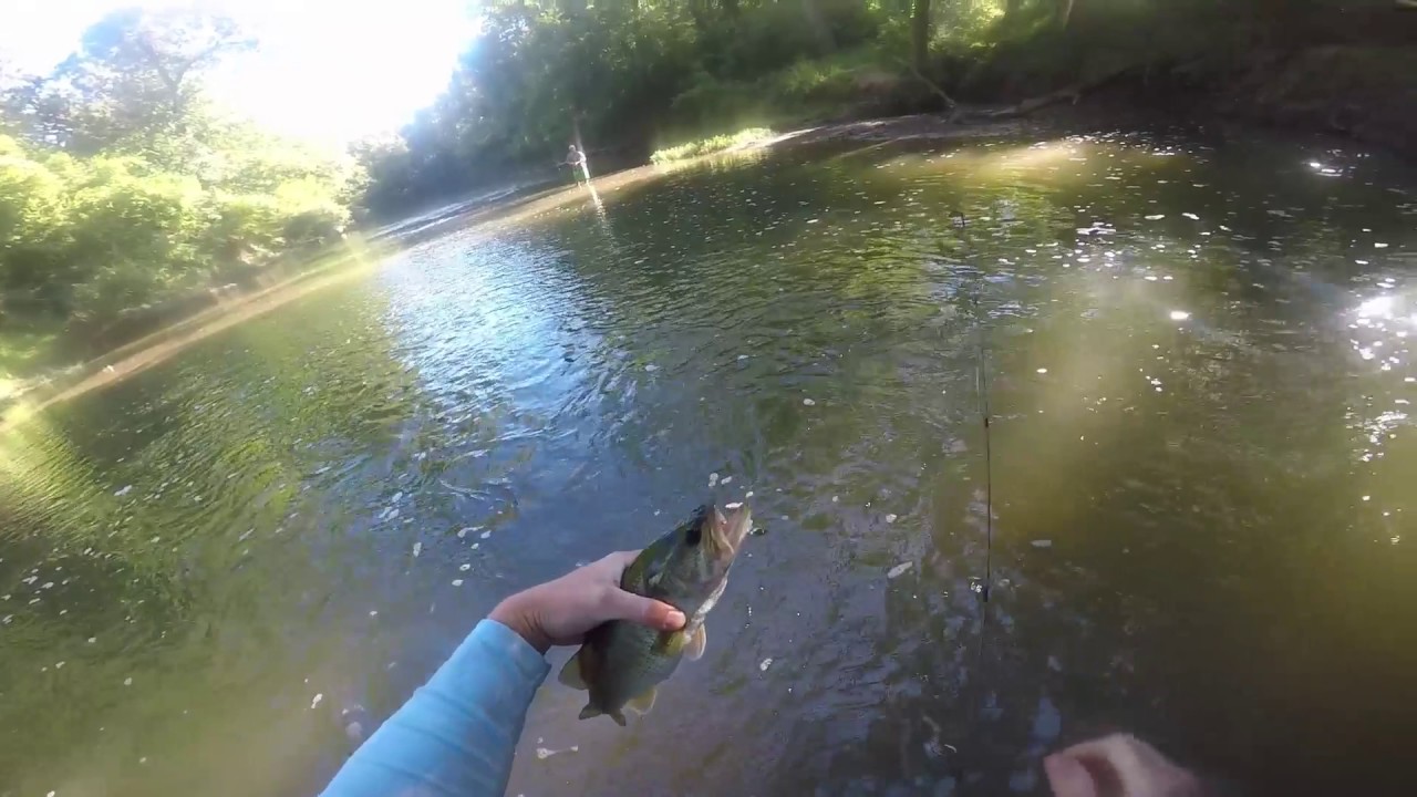 August 2017 Harpeth River wade fishing with Kenny - YouTube