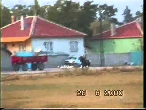 Rahvan At 2000 Eskişehir Karadayı