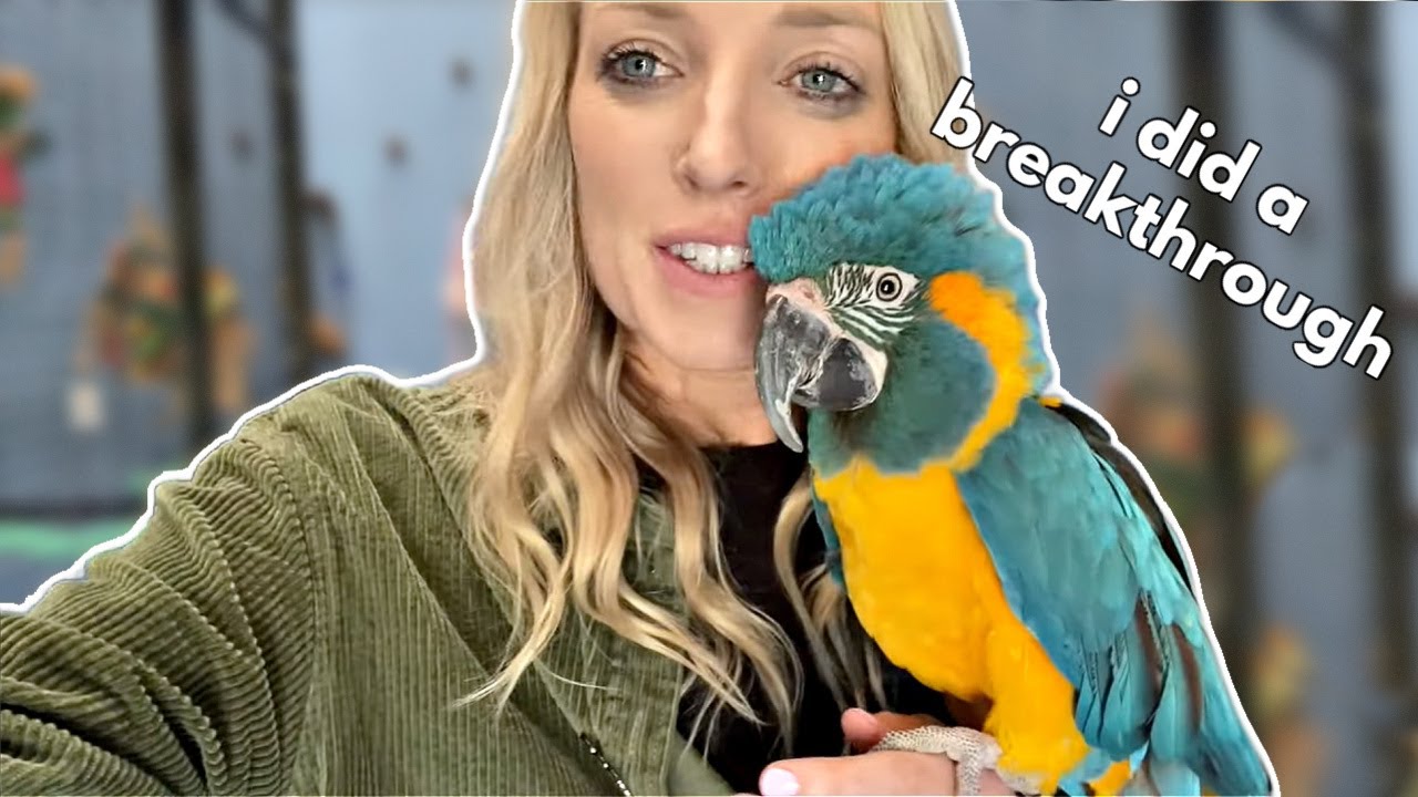 Ava and Jinx Had a Breakthrough - I was SO Surprised! - YouTube