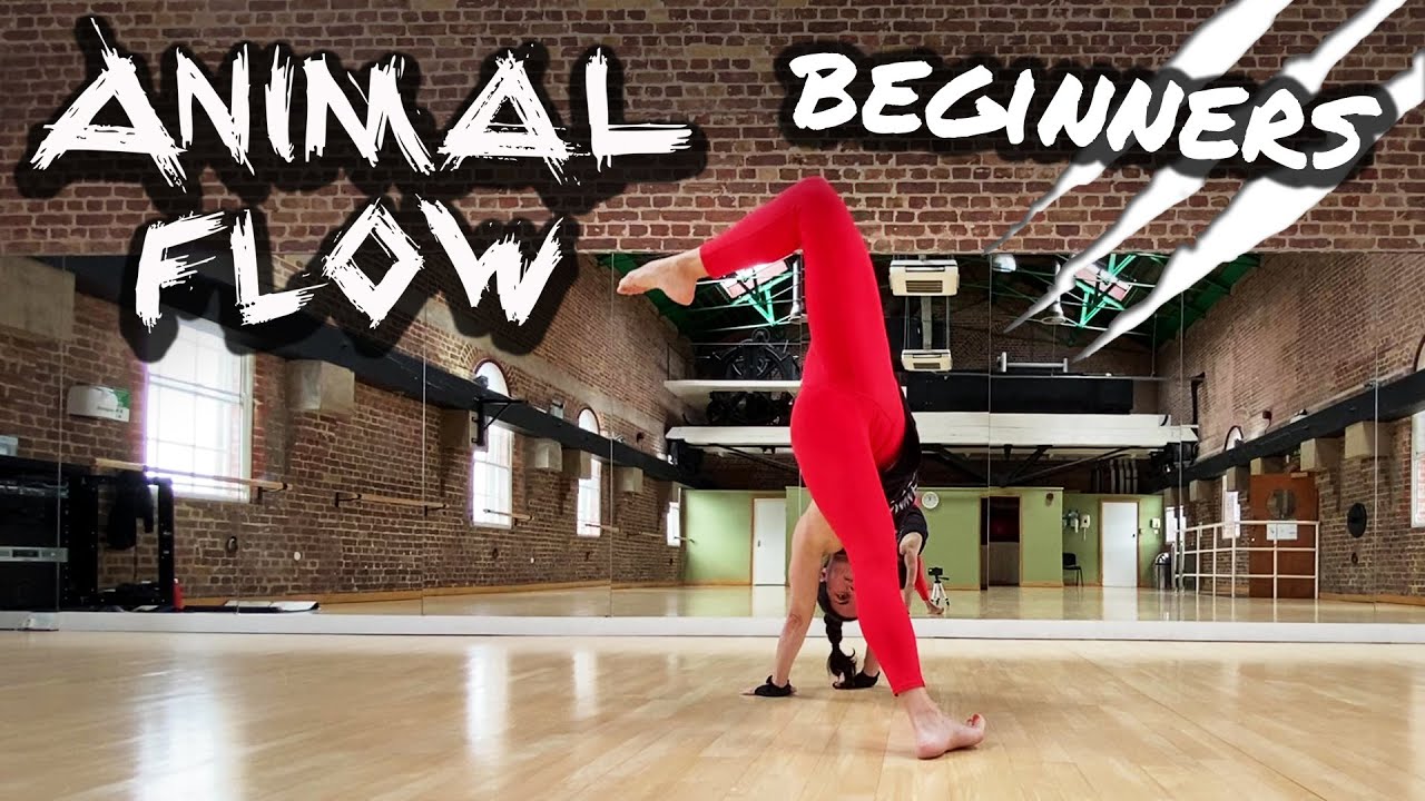 Easy Animal Flow sequence | Fun full body workout for all - YouTube