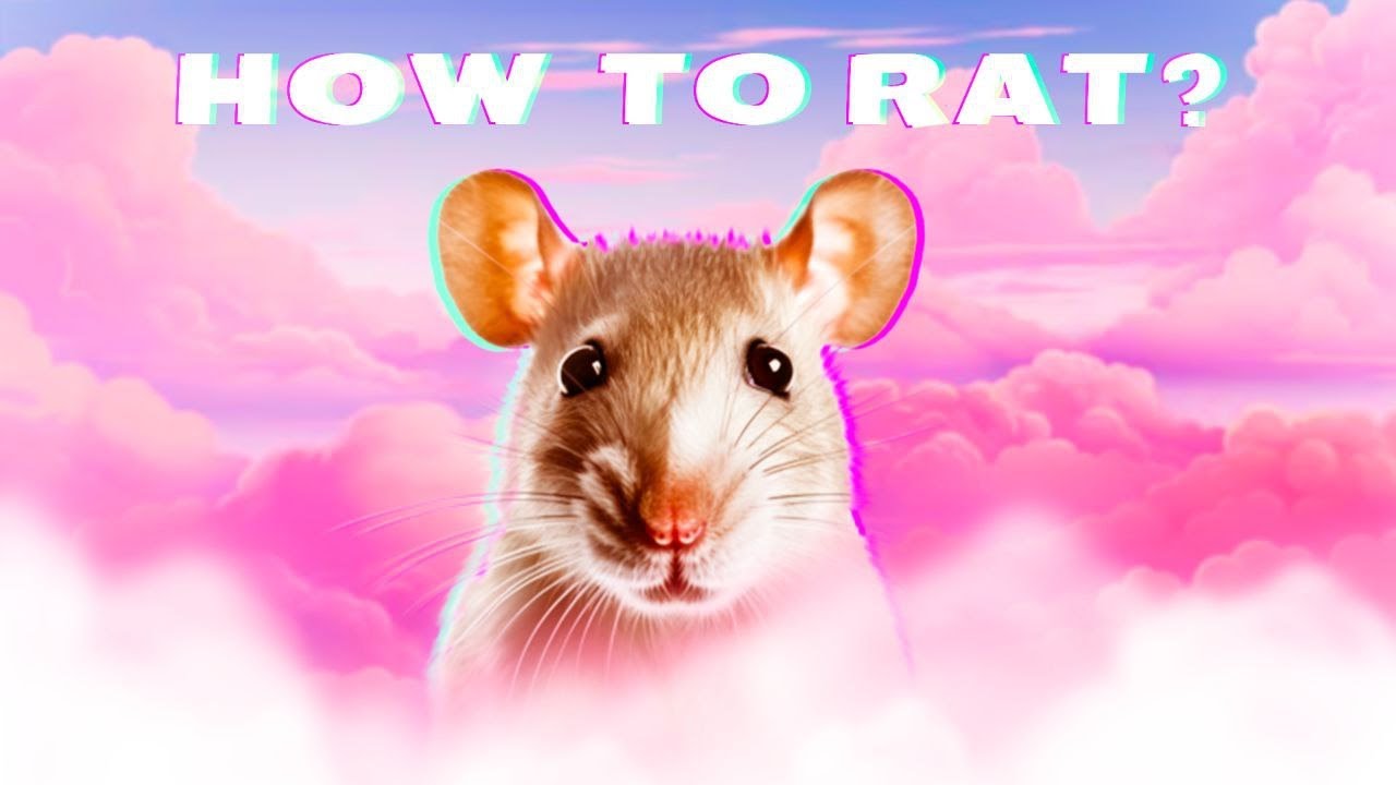 How To Rat On Hypixel Skyblock (FULL TUTORIAL) Discord Below - YouTube