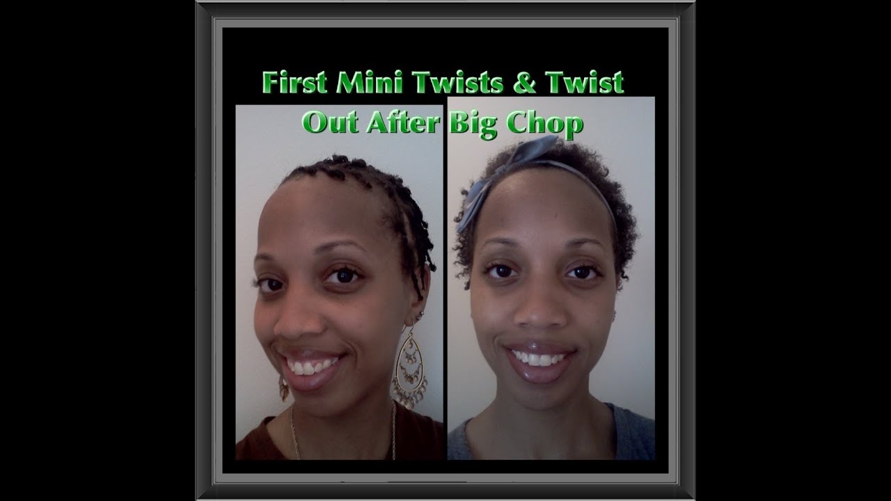 TWA | Mini Twists on Dry Hair & Twist Out - YouTube