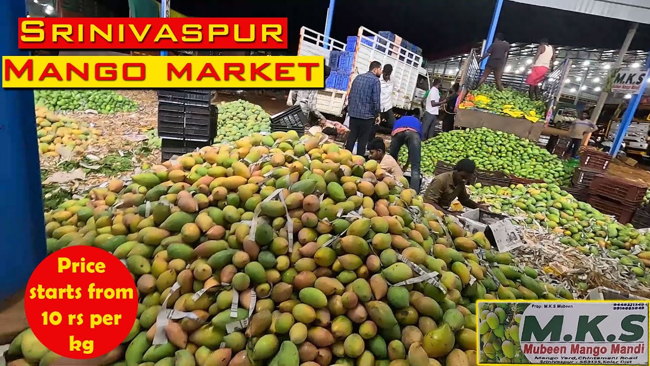 Srinivaspur mundy. The most famous mango market in INDIA - YouTube