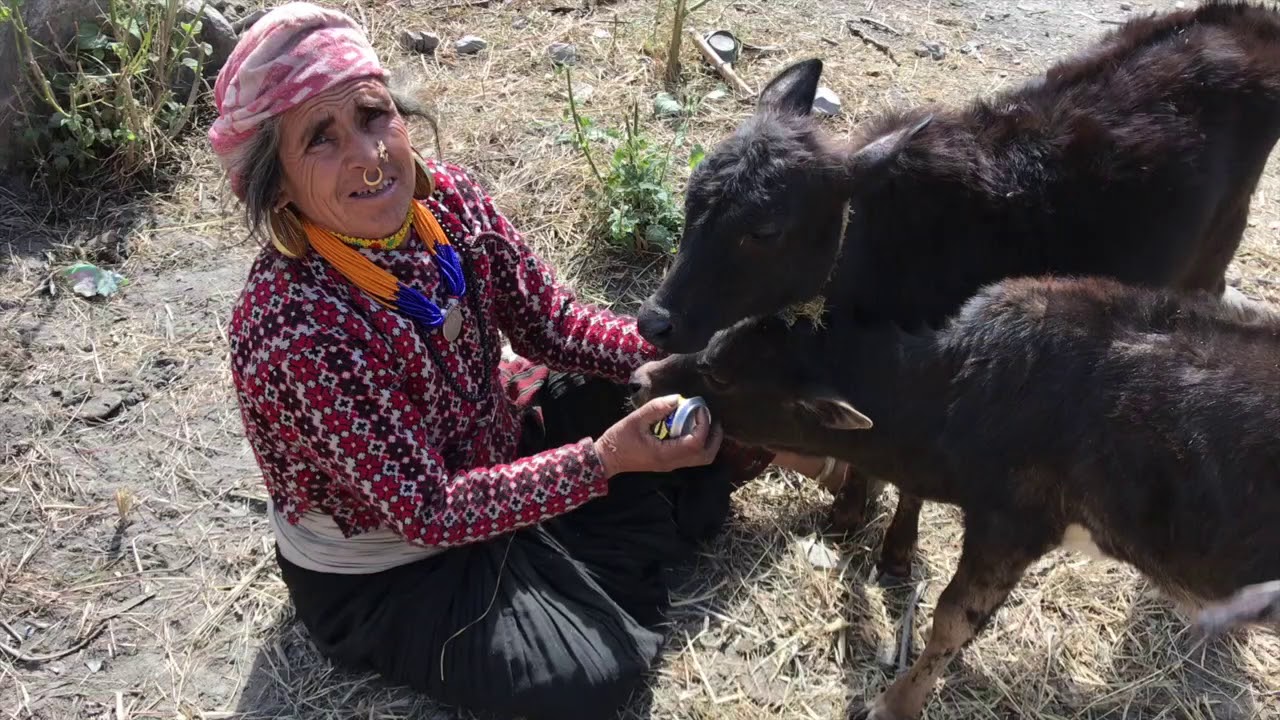 Nepal STM 2018 Fall (louchu) - YouTube