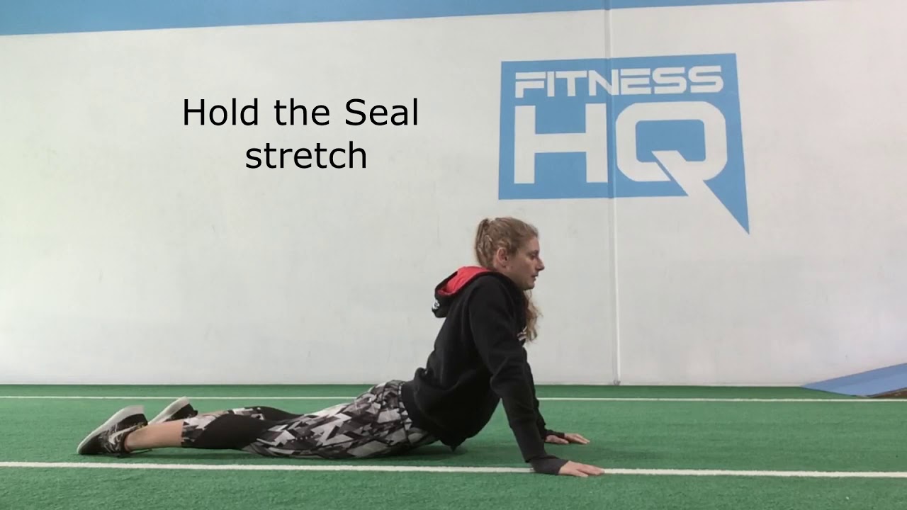 Seal Stretch - YouTube