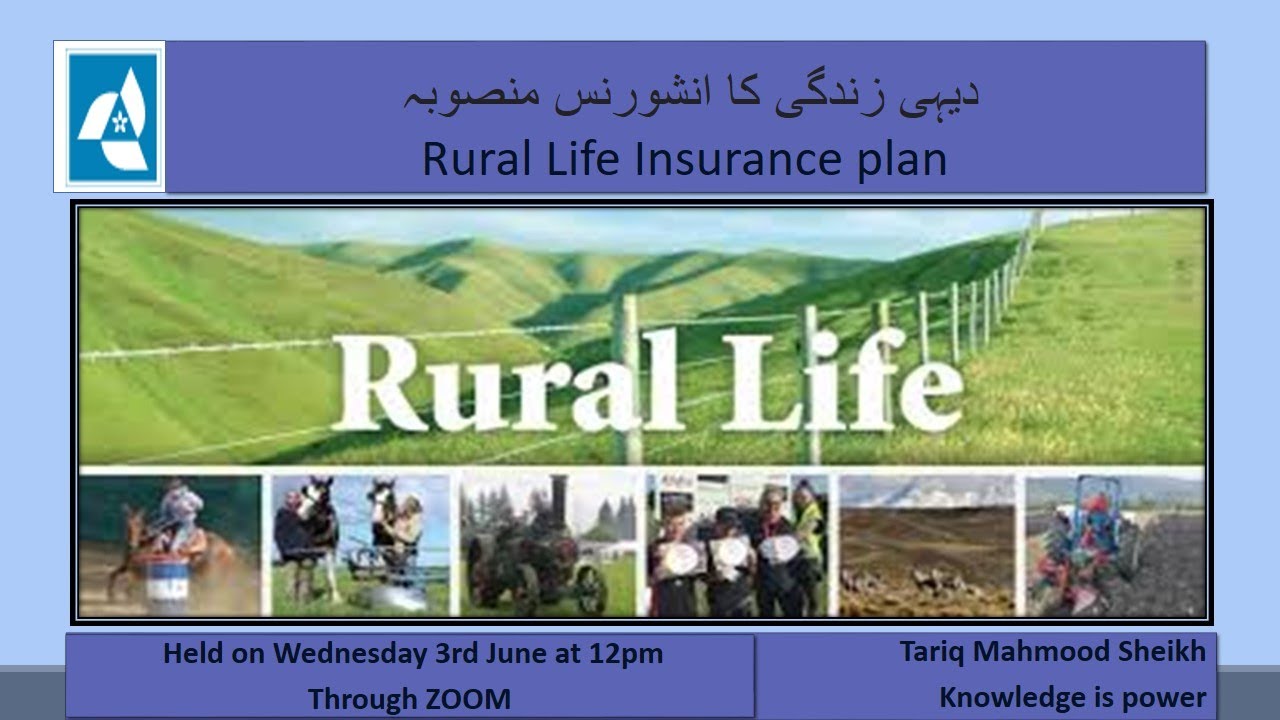 Rural Life Insurance Planدیہی زندگی کا انشورنس منصوبہ-By Tariq Mahmood ...