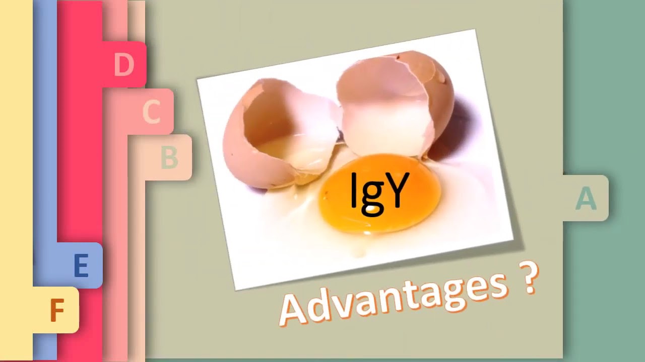 Health R&D: Applications of IgY-technology (egg yolk antibodies) in ...