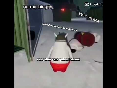 SINIRLI BEN