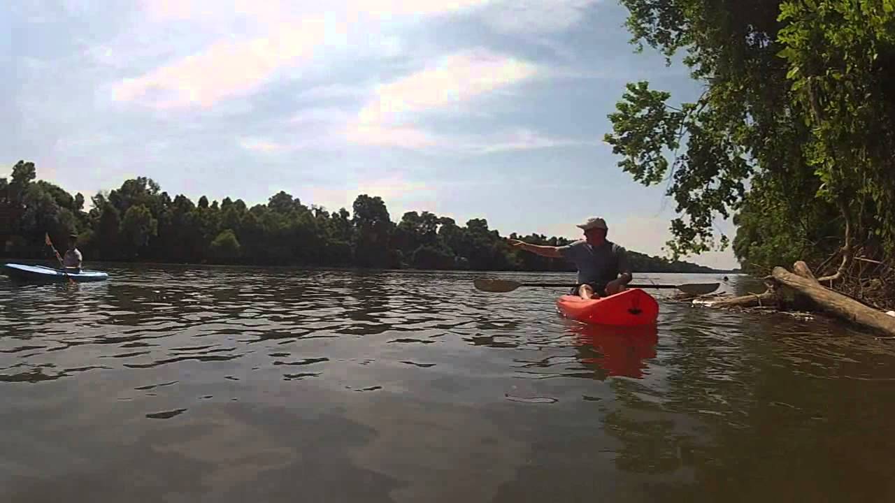 Fort Congaree II Expedition (Day 1) - YouTube