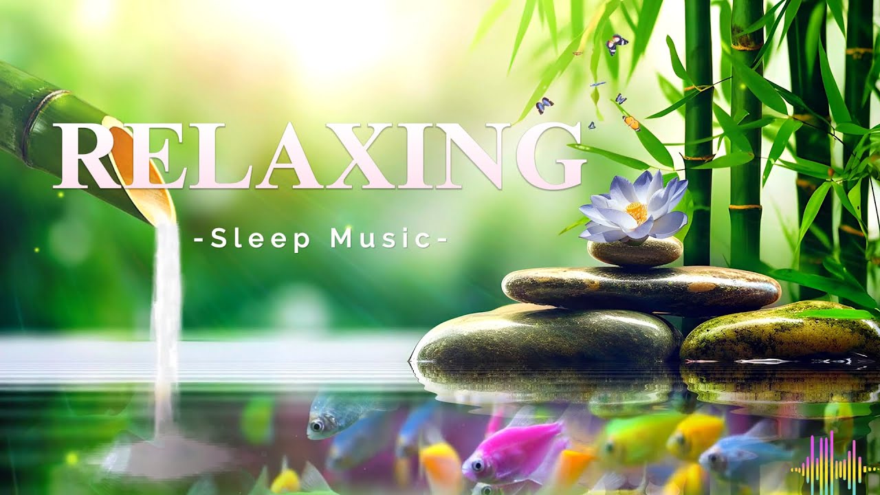 Relaxing Piano Music 24/7 | Sleep Music, Relax, Meditation Music ...