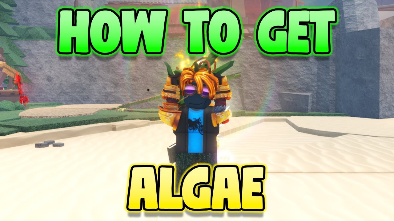 How to Get Algae in Fisch! Algae Farming Guide Roblox - YouTube