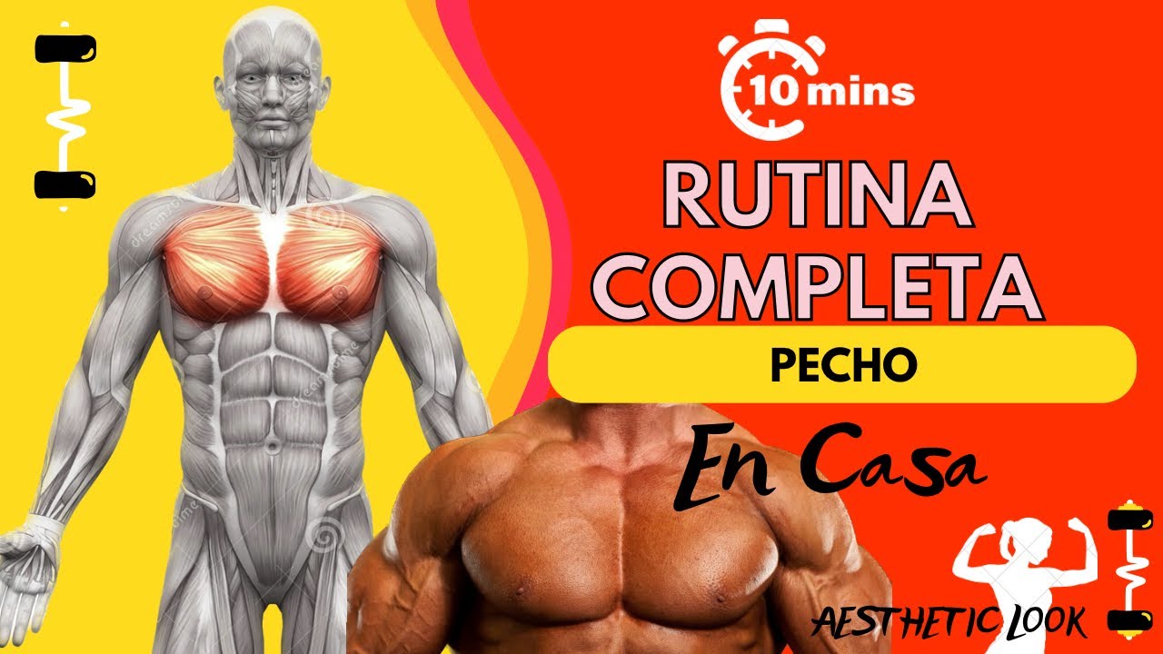 🔥PECHO en CASA en 10 MINUTOS | Rutina Pecho | GRANDES PECTORALES!🔥 ...
