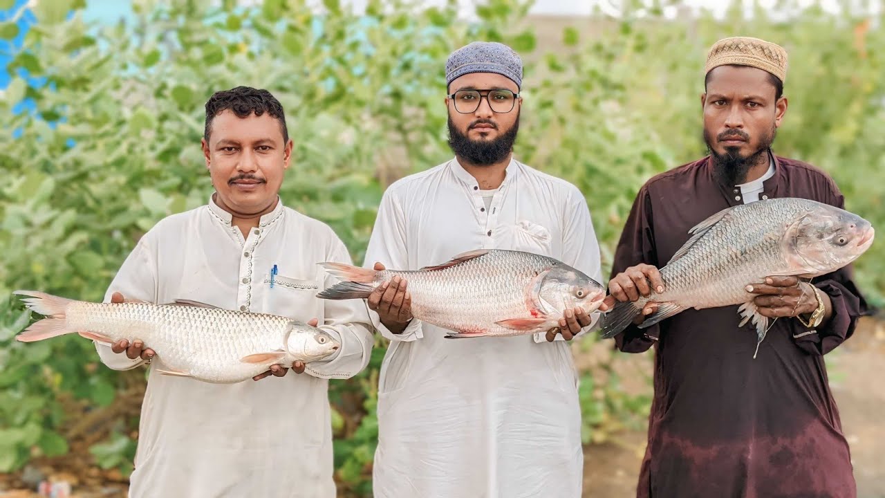 Big Rohu Fish Karahi Recipe |Masala Fish Curry | Village Style Fish ...