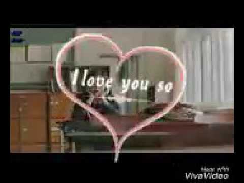 Vampir flowers(GİMME GİMME)