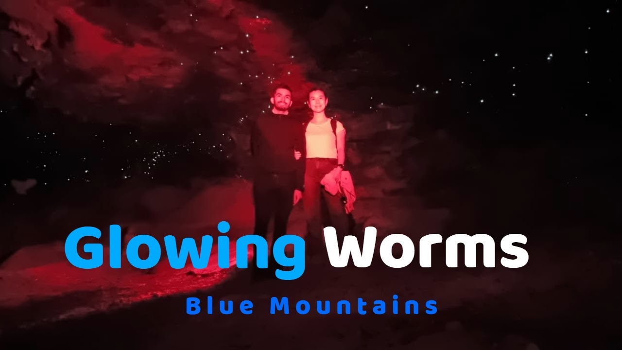 Glowing Worms cave - Blue Mountains | Heaven on Earth - YouTube