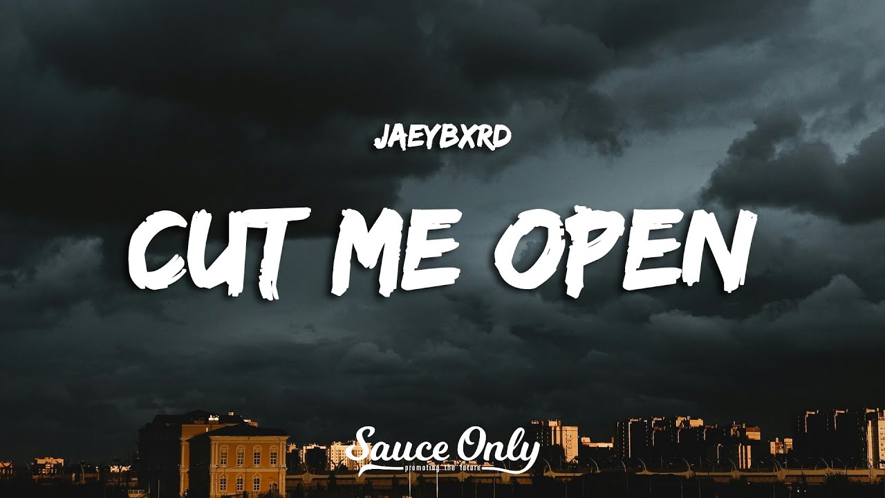 JaeyBxrd - cut me open (Lyrics) - YouTube