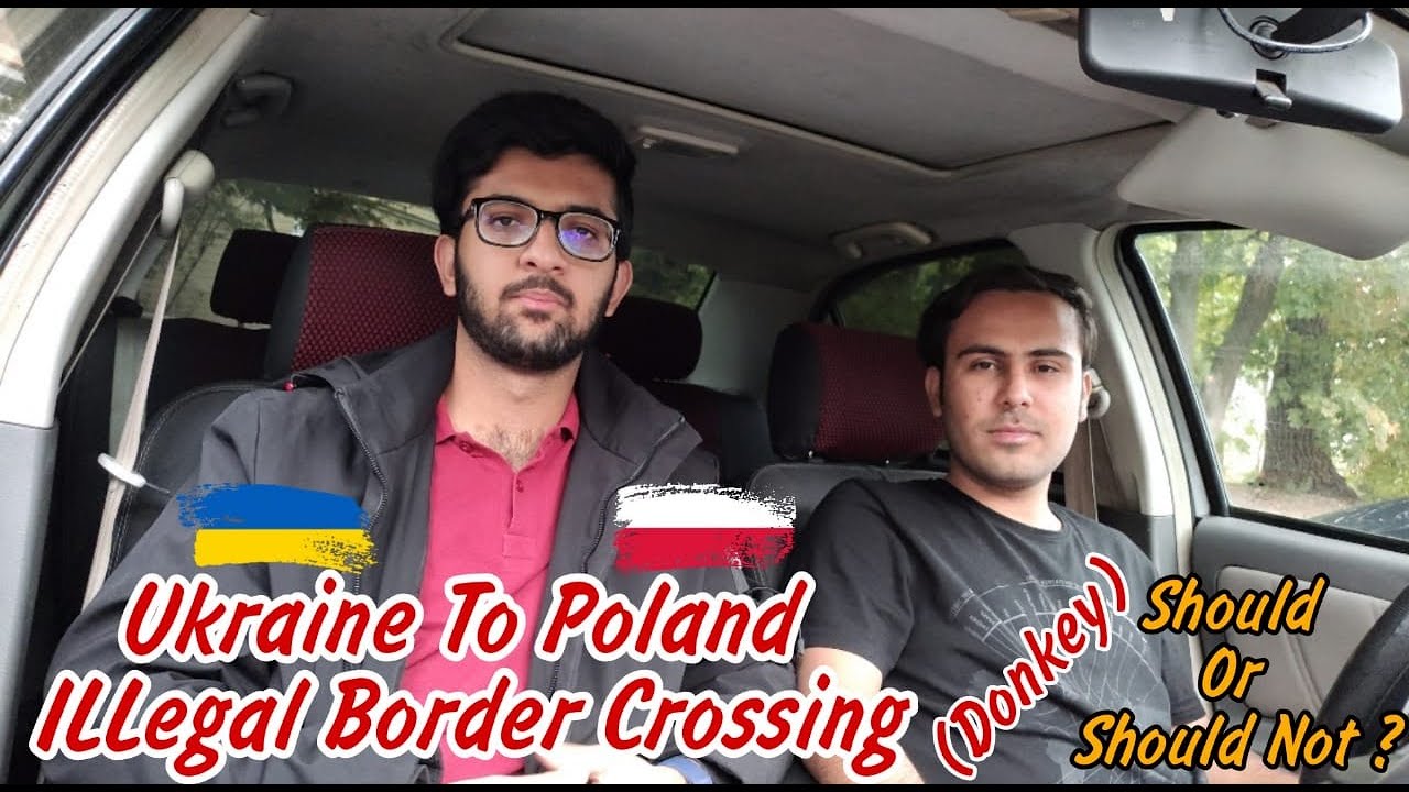 Ukraine Donkey | Ukraine Donkey Poland |Ukraine To Poland |Ukraine To ...