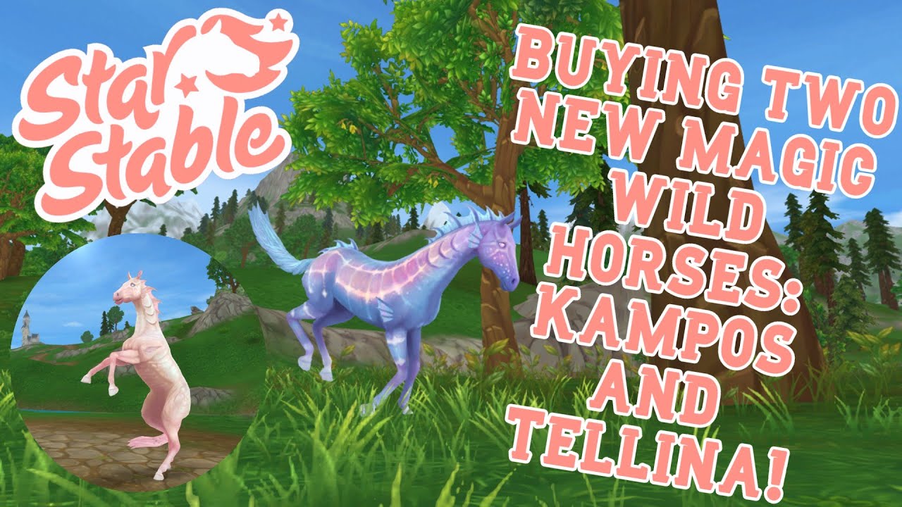 Star stable - Buying two magic wild horses: Kampos and Tellina! - YouTube