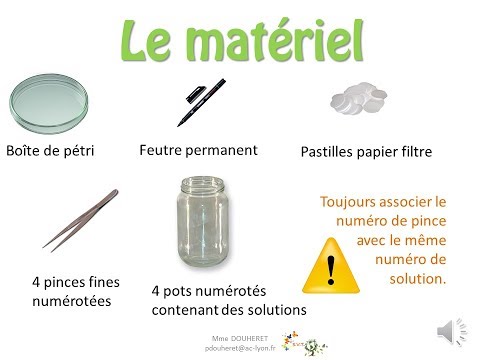 Protocole: réaliser un antibiogramme avec des produits de substitution ...