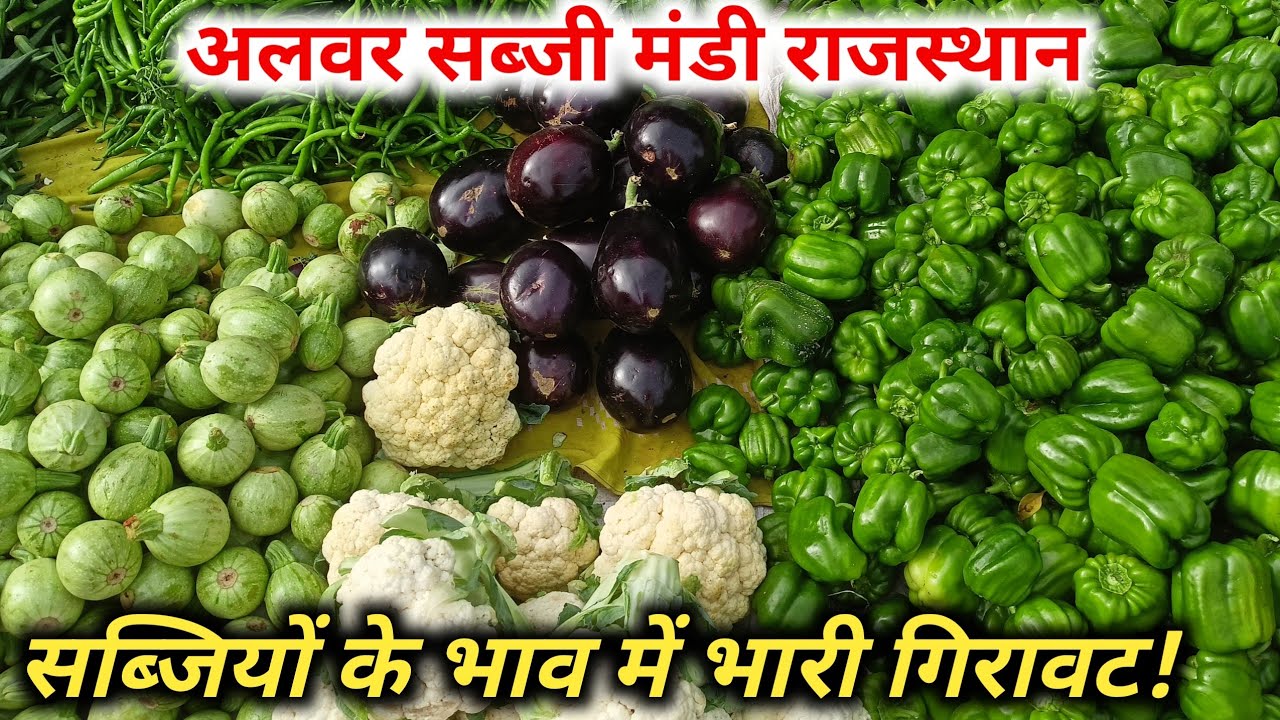 Vegetable wholesale Market Rate Today Alwar Mandi Rajasthan/ सब्जियों ...