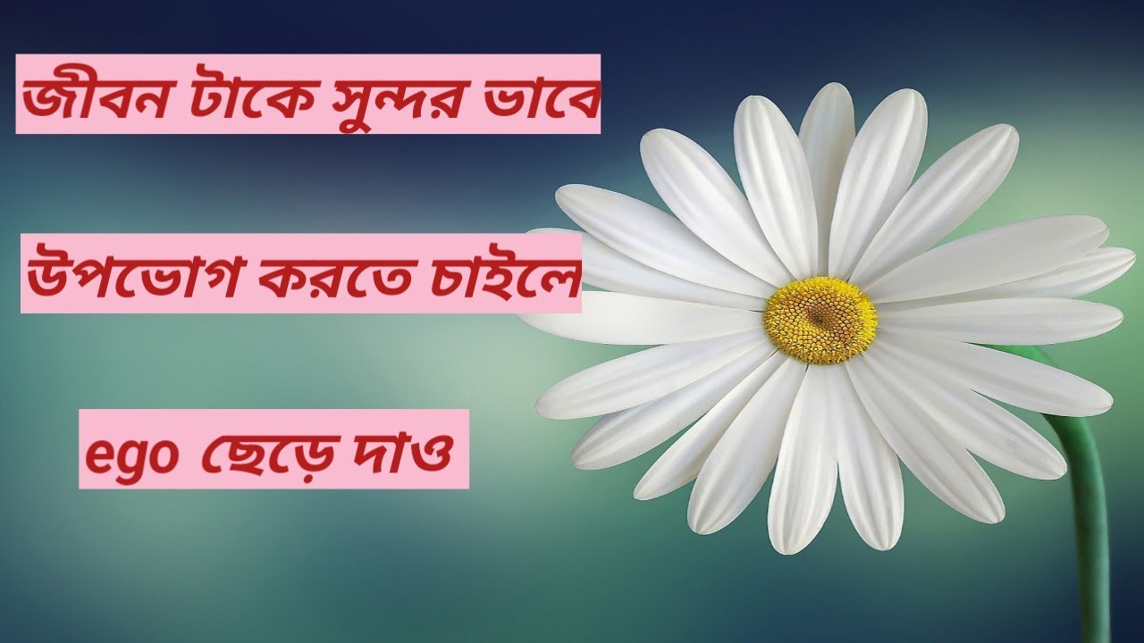 Best Motivation Video By Bijoya Roy. Motivational speech in bengali ...