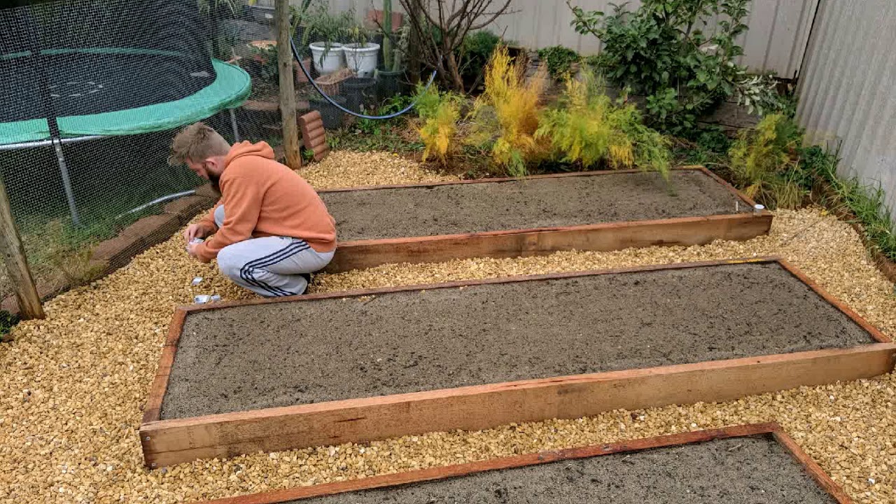 Seed sewing - YouTube