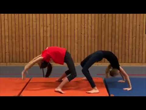 Vorstellungsvideo ZiF 2019 - Artistik Aurelia