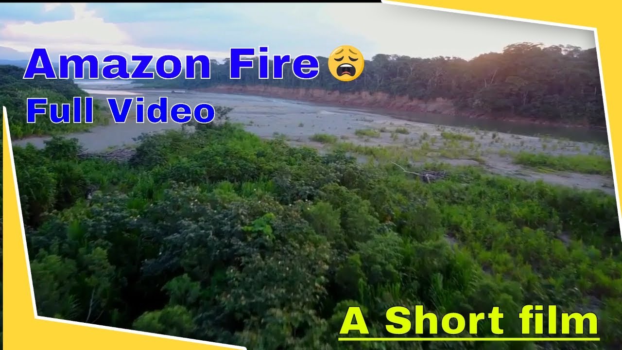 AMAZON FOREST FIRE | RAINFOREST | AMAZON: A SHORT FILM | AMAZON FOREST ...