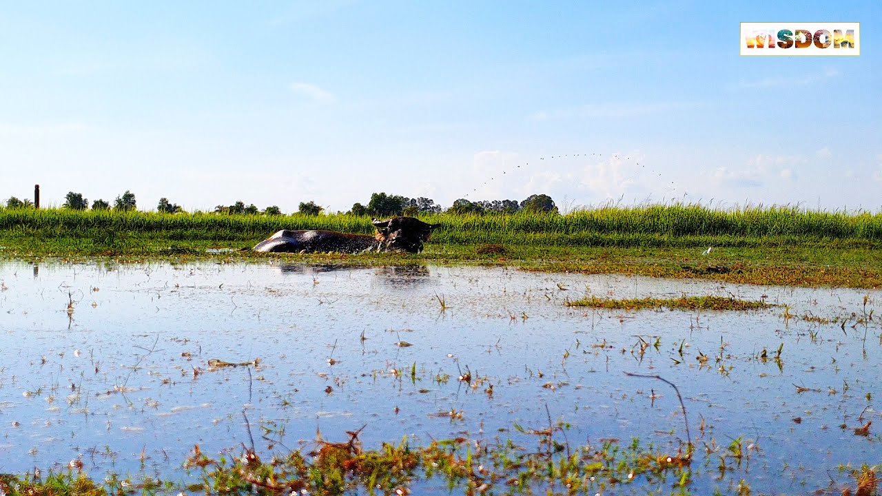 believe on your hard work - YouTube