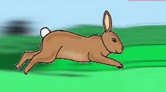 Plains Cree (Y dialect) Language and Songs for Kids & Beginners - YouTube