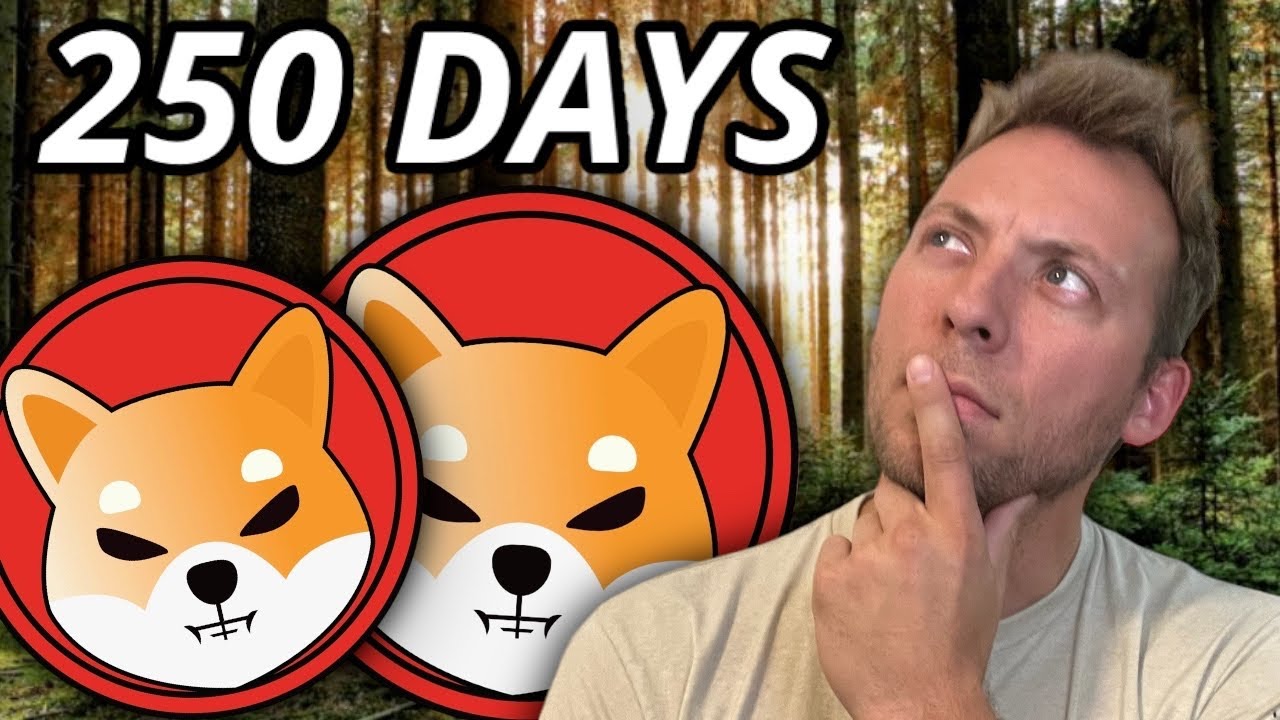 SHIBA INU - 250 DAYS - YouTube
