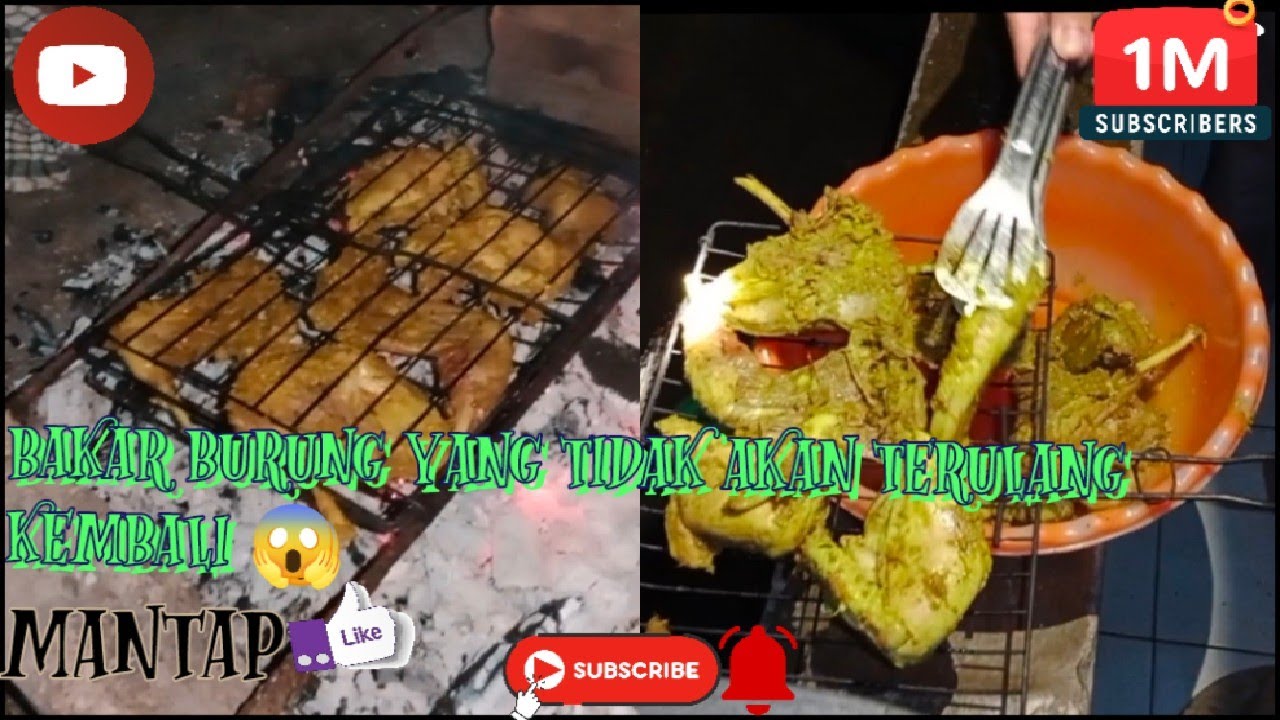 BAKAR BAKAR BURUNG PUNAI#burung#burungpunai - YouTube