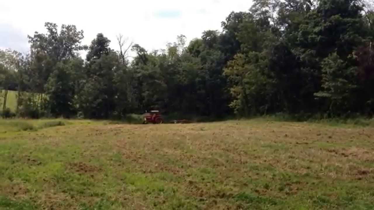 1980 international 886 disking field - YouTube