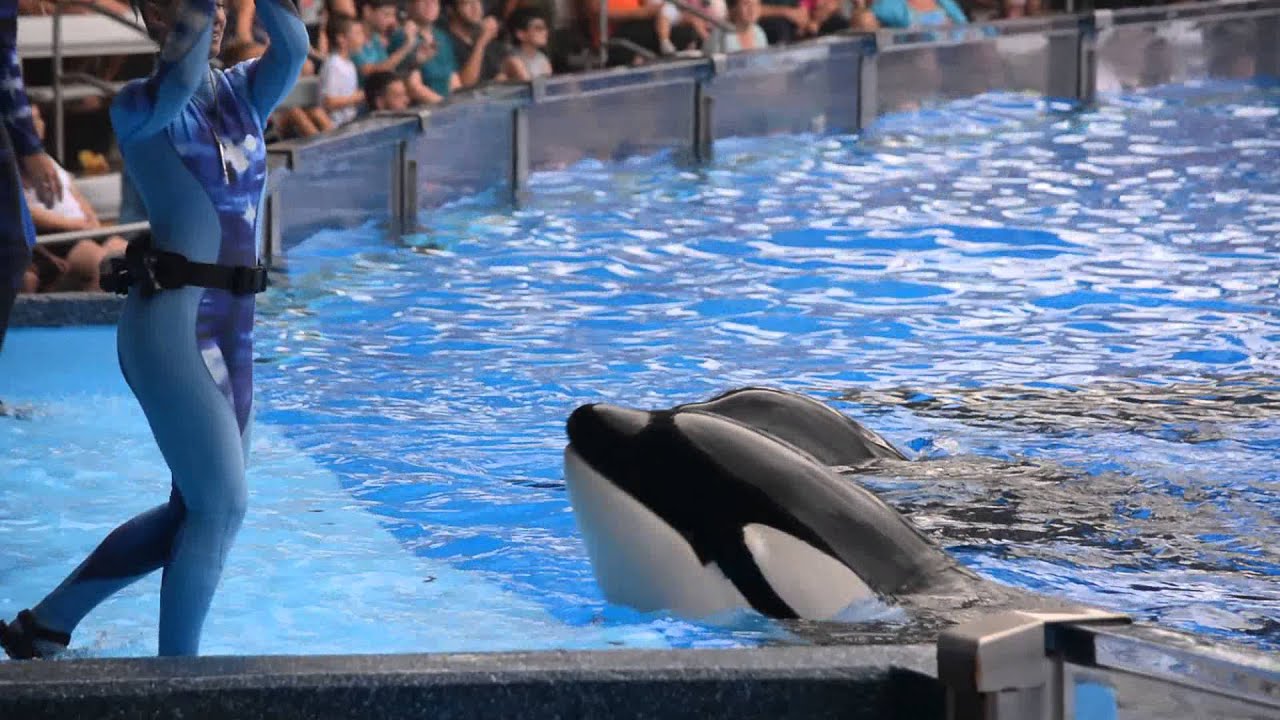 Side by Side 9/27/15 - YouTube