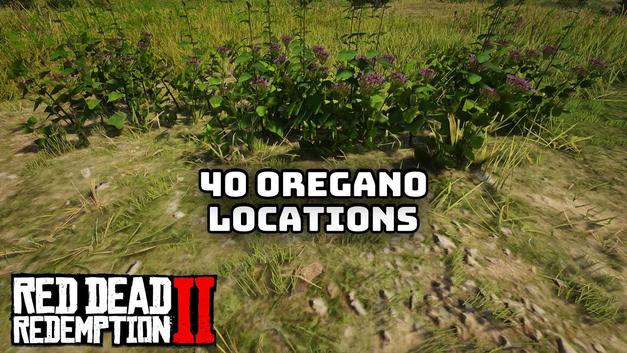 40 Oregano Locations in Red Dead Redemption 2 - YouTube