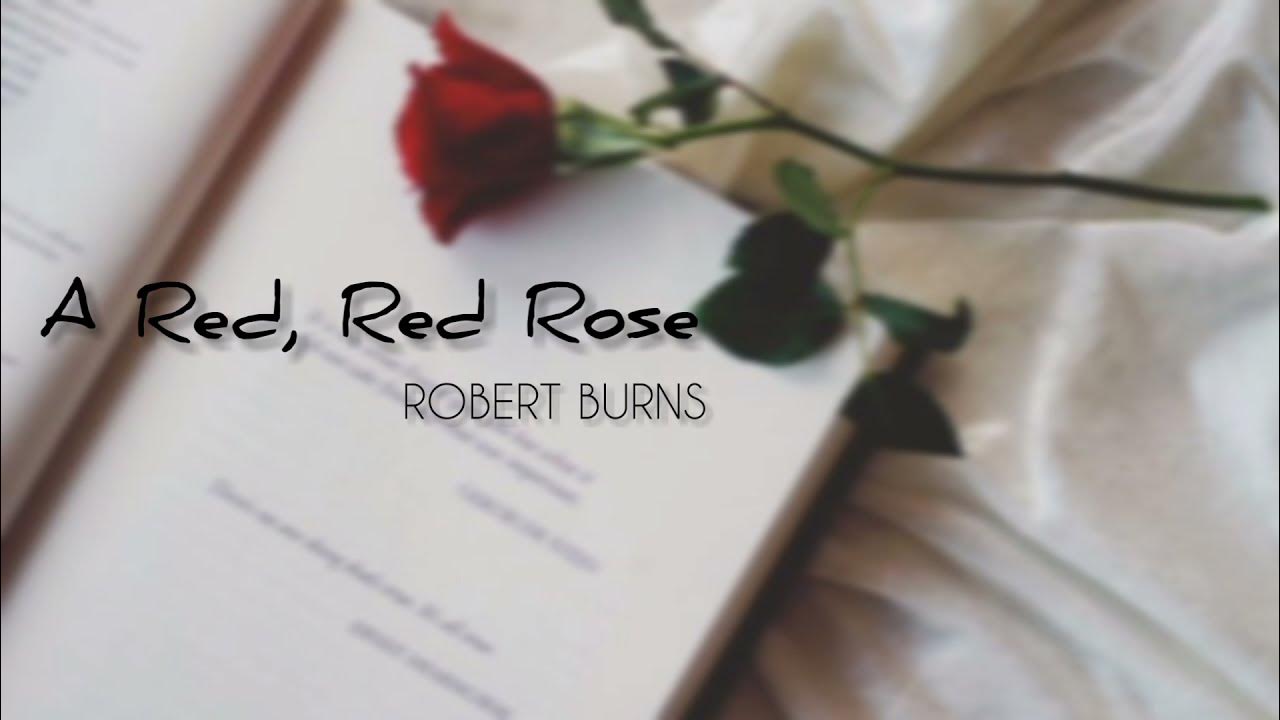 A Red, Red Rose - Robert Burns ( Reading ) - YouTube