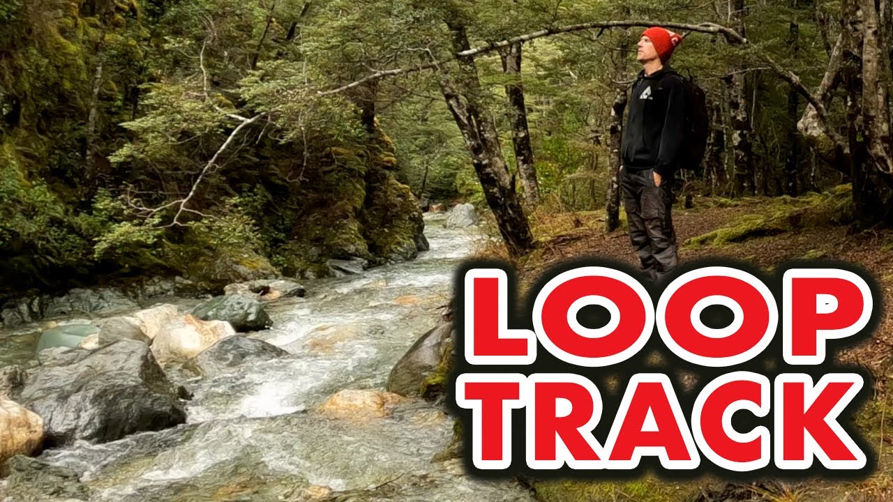 Hiking the Mount Crichton Loop Track in Queenstown, New Zealand - YouTube