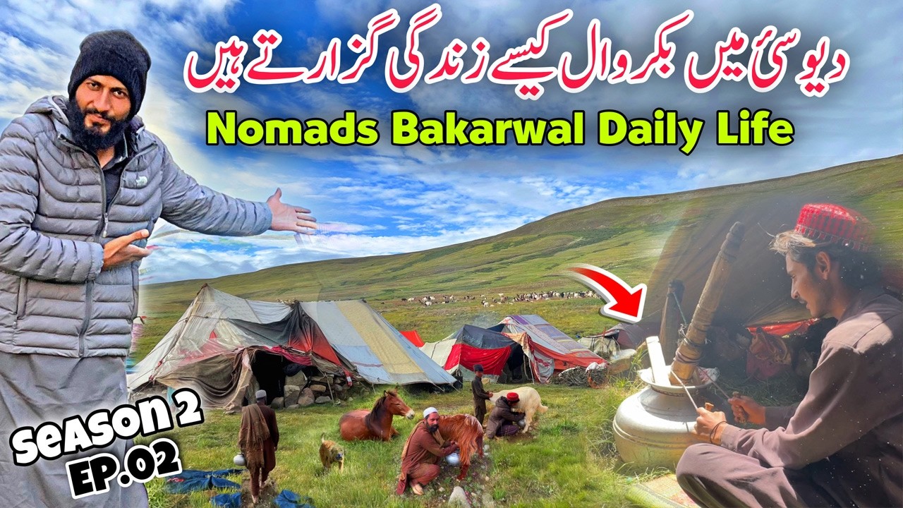 Daily Life of Nomads Shepherds in Deosai Pakistan | Bakarwal Nomadic Life S2 EP02 - YouTube