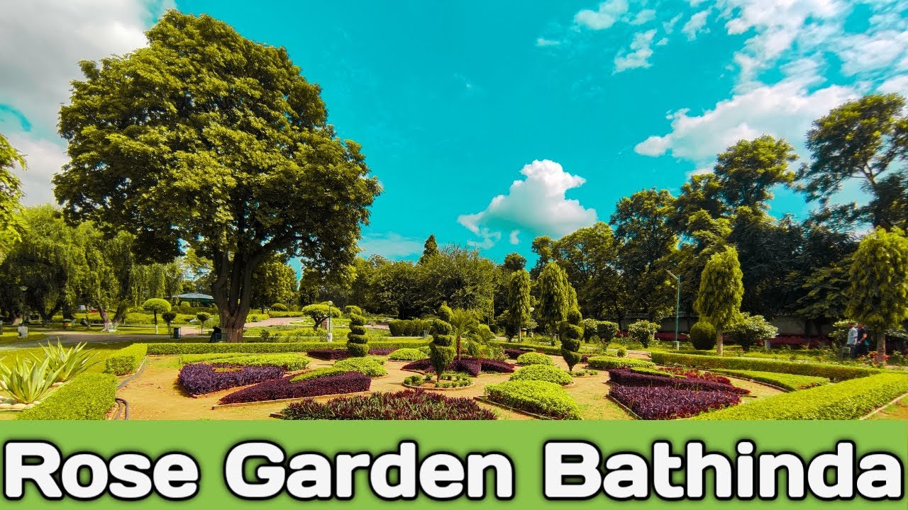 Rose Garden Bathinda | Bathinda City | Beautiful Place In Bathinda ...