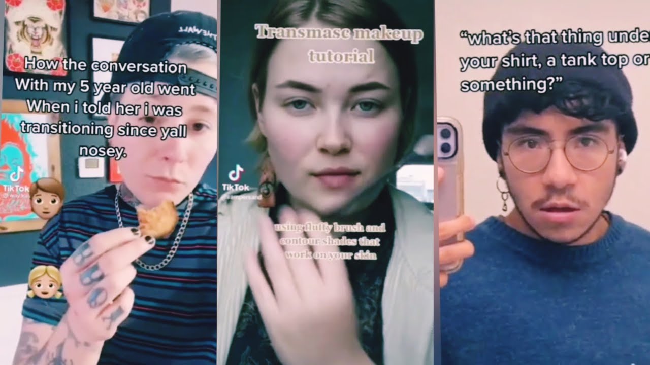 Trans tiktoks compilation 🏳️‍🌈 - YouTube