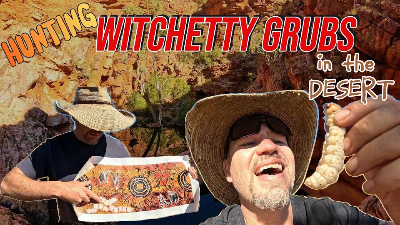 Hunting Witchetty Grubs - YouTube