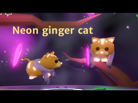 Adopt Me! NEON GINGER CAT 🐈/And New Pets Accessories 🧣🥽 - YouTube