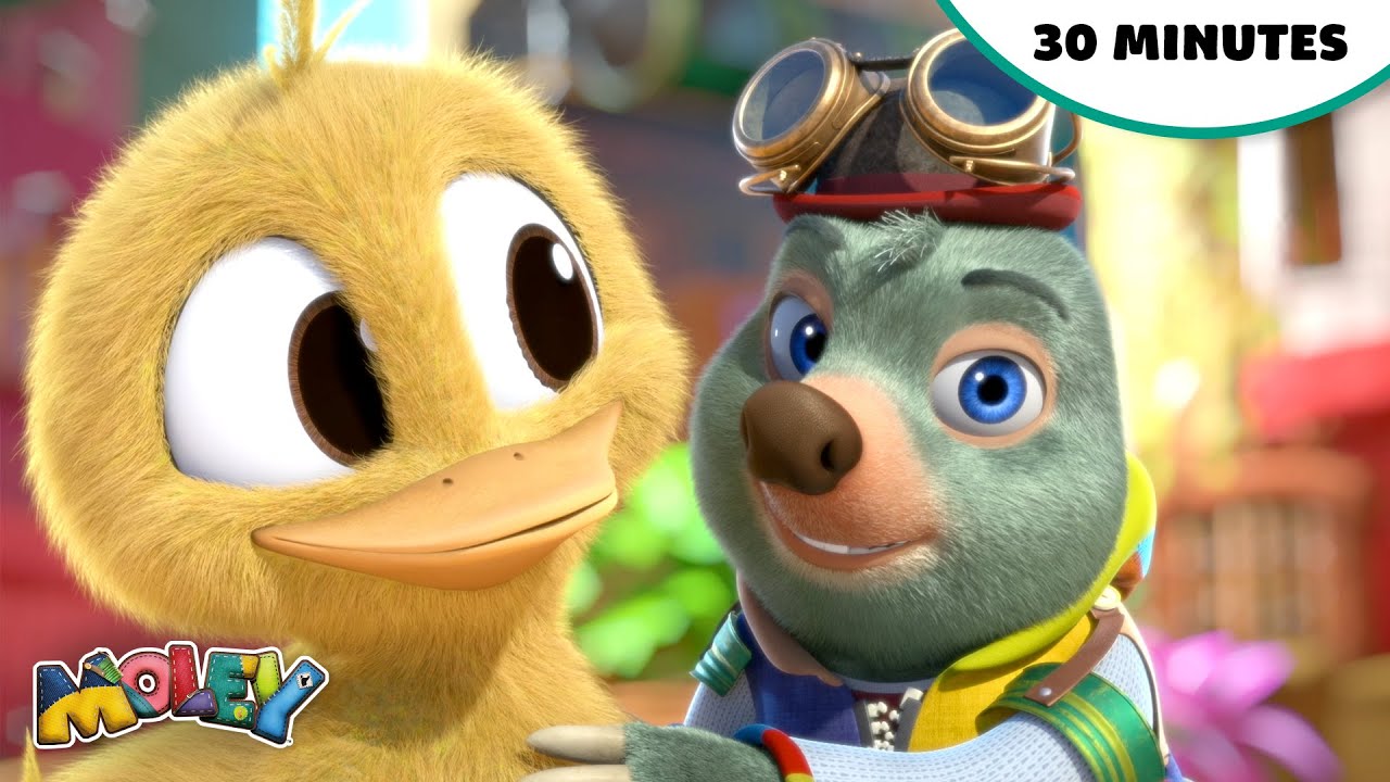 🐥 Moley And Friends’ Wild World! 🐣 🐾 | Learn About the magic of ANIMALS ...