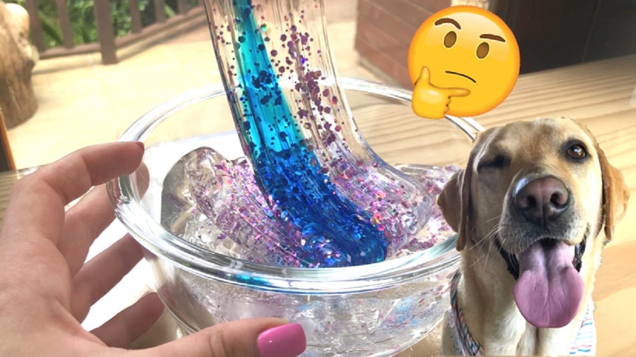MY DOGGO DESIGNS A SLIME! - YouTube