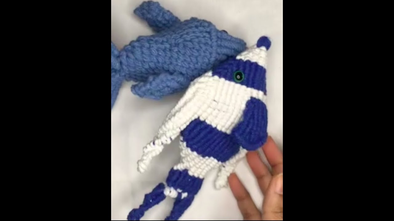 New White And Blue Macrame Tropical Fish Tutorial!! - YouTube